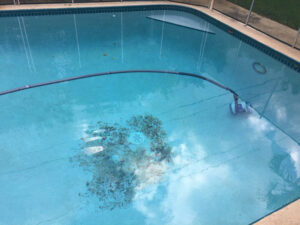 How To Drain A Pool The Right Way - Best Pool Adviser